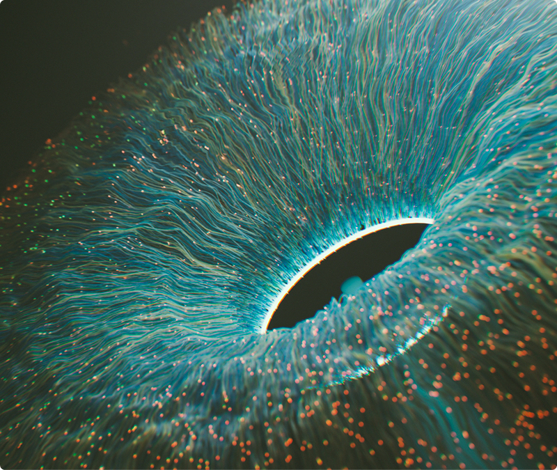 Private markets investment platform | Opto Investments